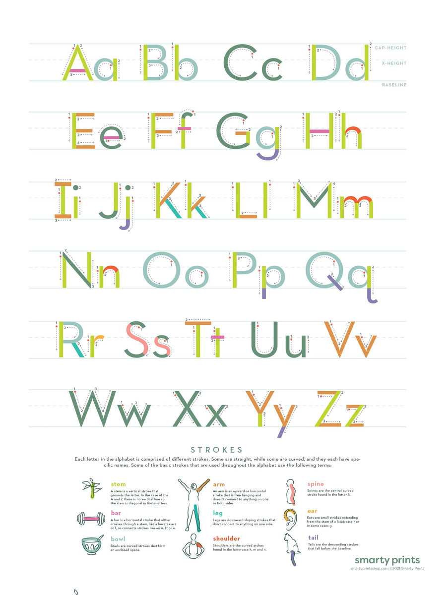 ABC Chart, Teaching the Alphabet, Typography Anatomy Poster, Classroom ...