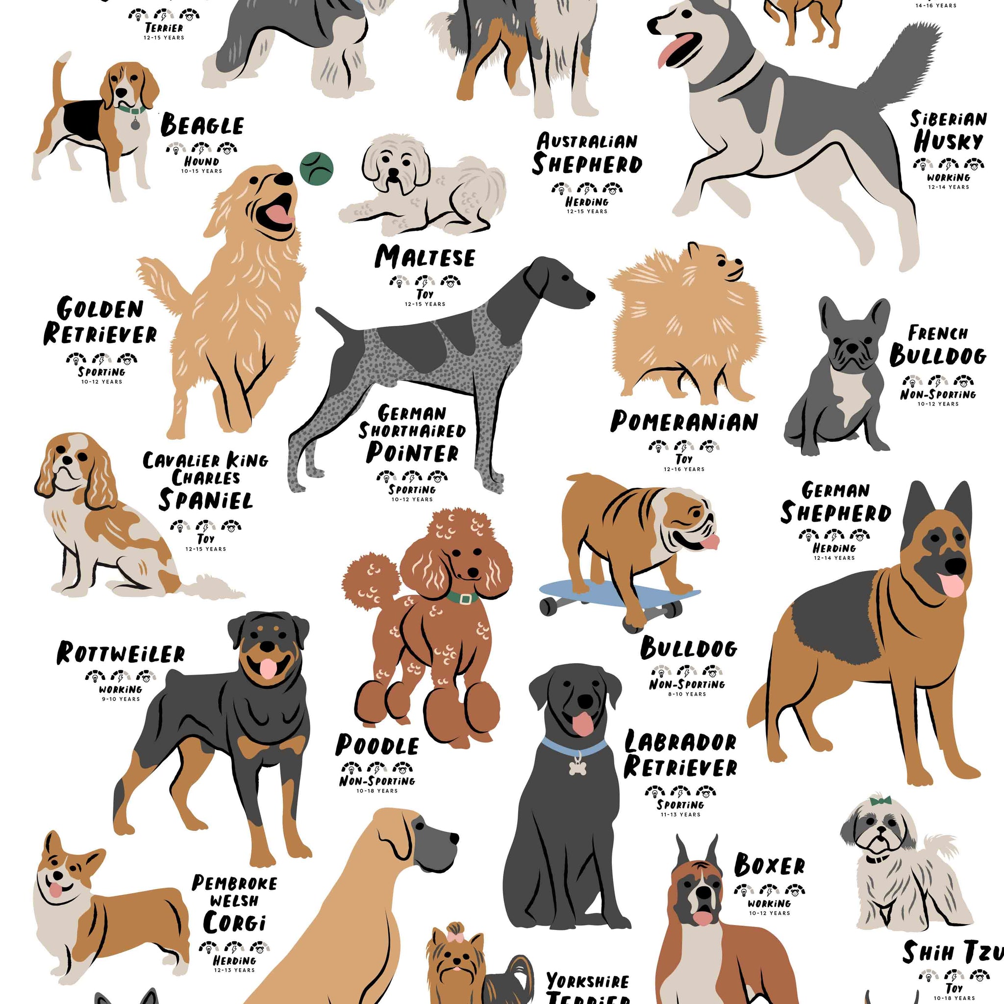 Dog Breed Poster